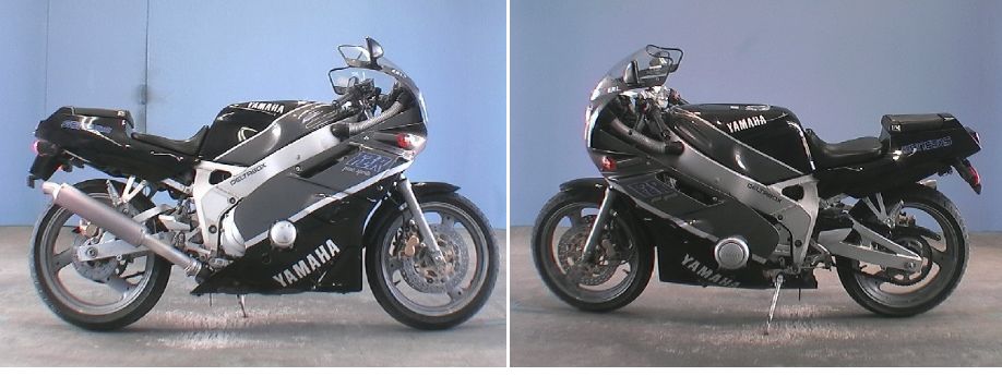 YAMAHA FZR400R 2TK 3EN2 FZR400 3EN1 1WG INTAKE VALVE 1WG-12111-00 INLET ...