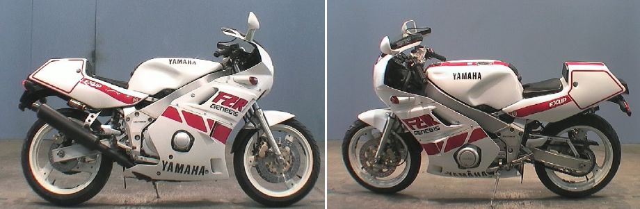 YAMAHA FZR400R 2TK 3EN2 FZR400 3EN1 1WG INTAKE VALVE 1WG-12111-00 INLET valvula | eBay